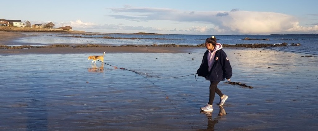 Share the Shore in Greenisland | Act Now